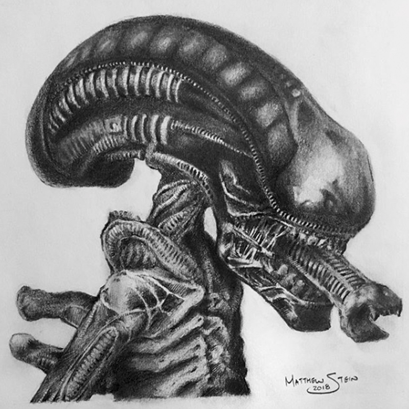 Matthew Stein || Designer: Personal Work